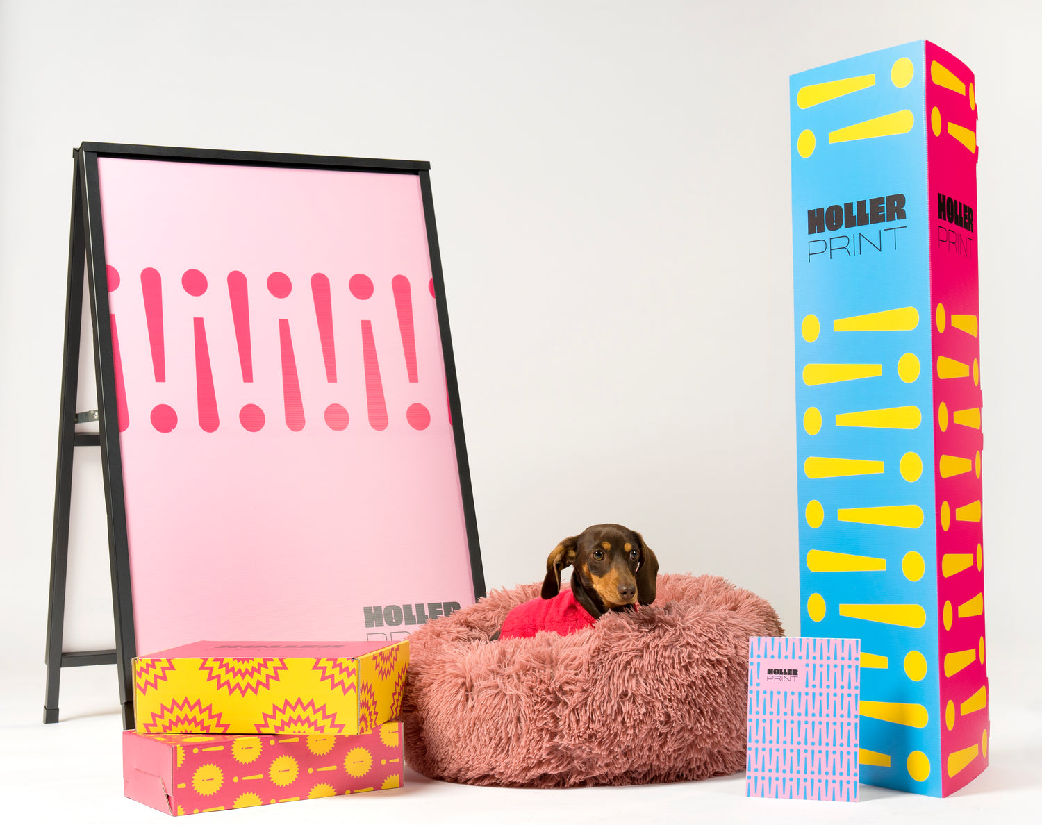Custom Signs & Large Format Printing Online – Holler Print